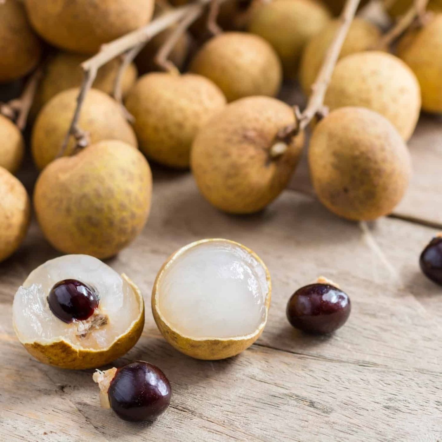 How to Grow Longan Trees From Seed to Fruit – Arbuckle Creek